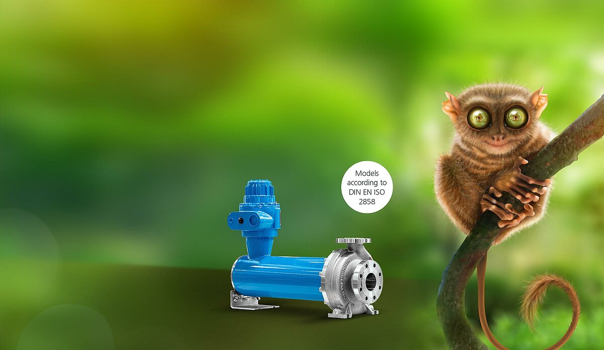 Bombas dosadoras de fluidos e sistemas dosadores | LEWA