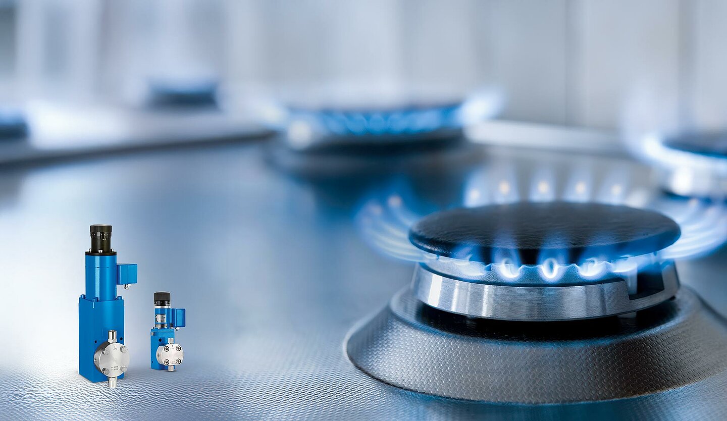 Hersteller für Pumpen, Systeme und Dosieranlagen | LEWA