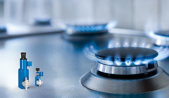 LEWA: Premier Dosing Pump Solutions for Unmatched Precision ...